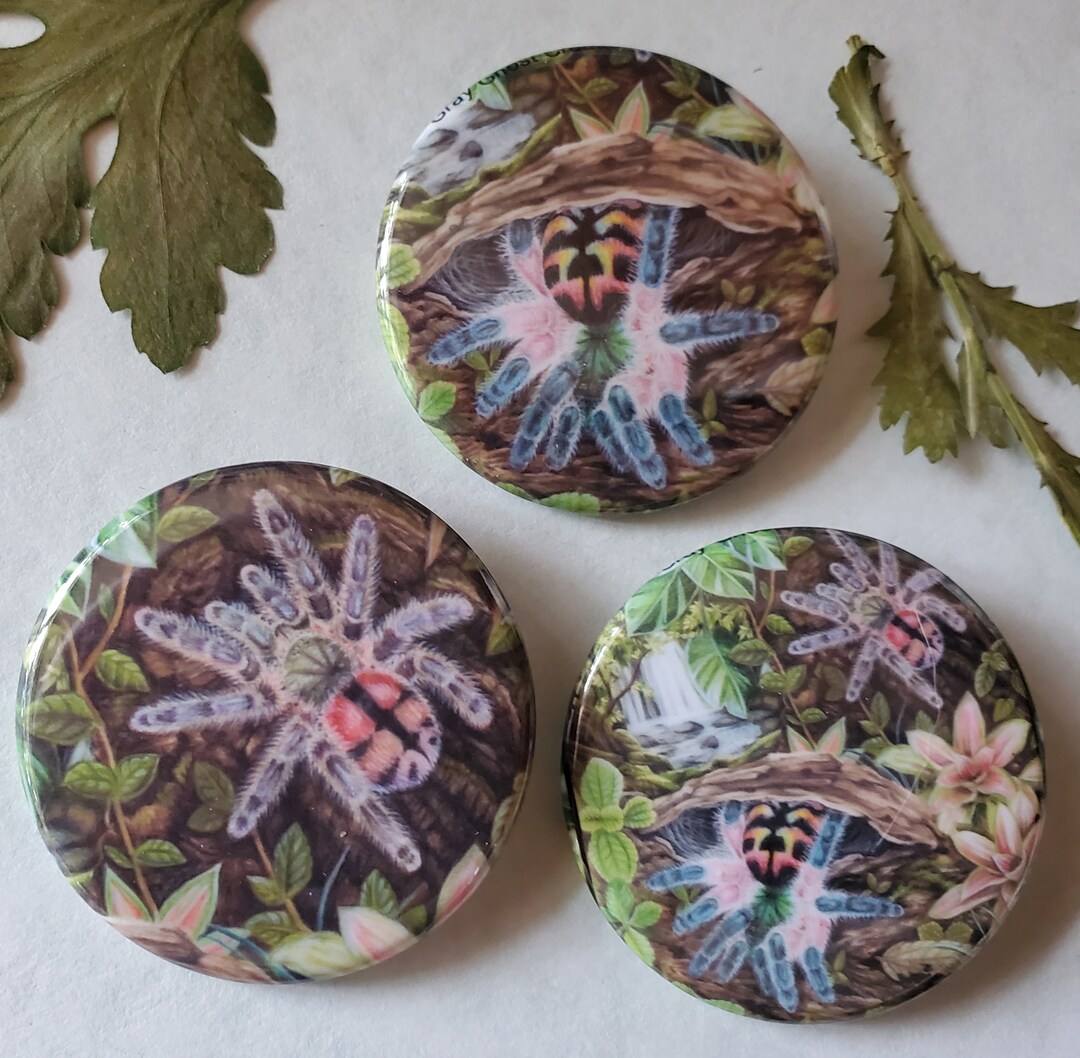 Tarantula Button Trio 1.75 Inch Hand Pressed Metal Buttons - Etsy