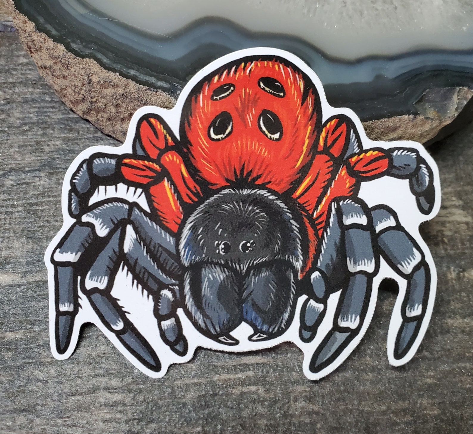 Velvet Spider Sticker 3.5 Inch Glossy Sticker Ladybird - Etsy