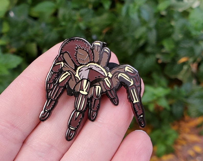 Hard Enam Pin Chaco Golden Knee Tarantula Grammostola - Etsy