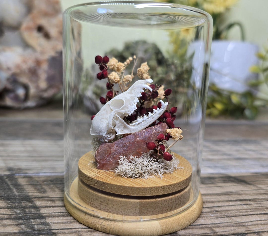 Hand Made Display Replica Fox Skull With Real Red Hematite Quartz ...