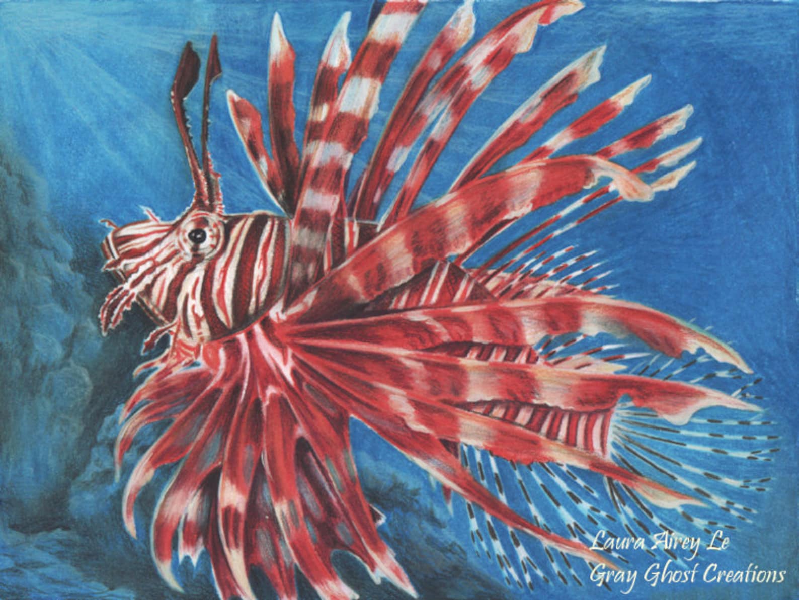 Lionfish Fine Art Print by Laura Airey Le Lion Fish - Etsy