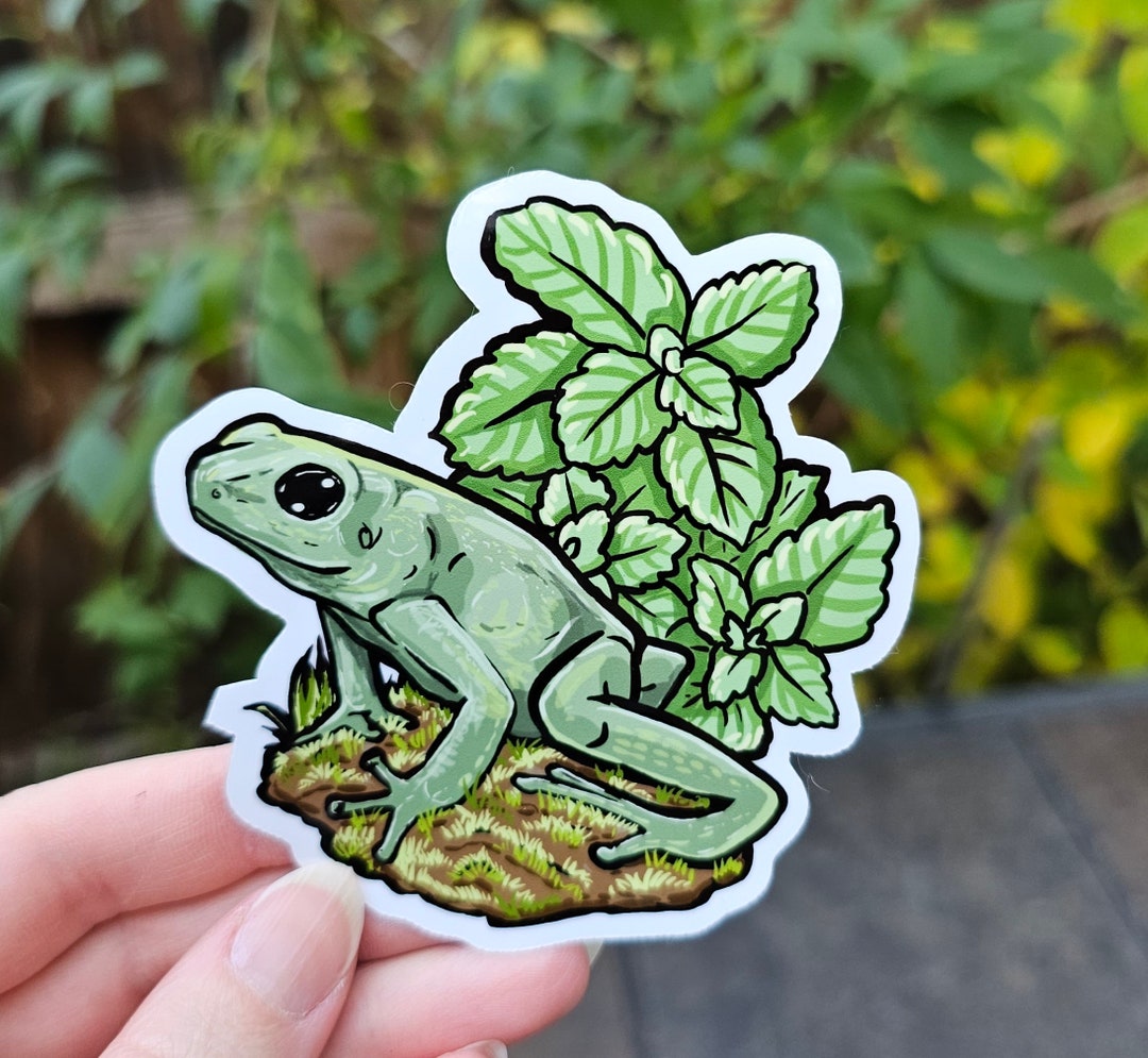 Phyllobates Terribilis Mint With Mint Leaves Sticker - 3.55 Inch Glossy ...