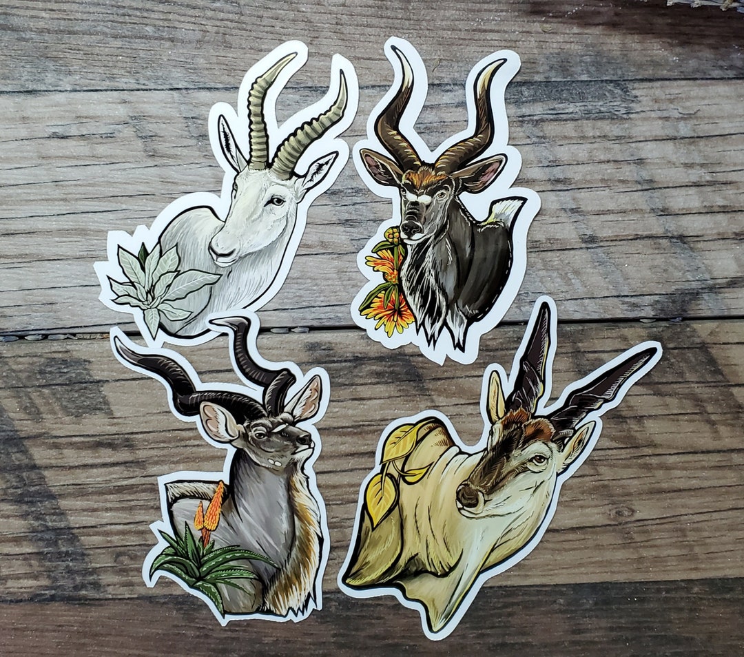 Set of Four Stickers - Majestic White Blesbok Kudu Nyala and Eland ...