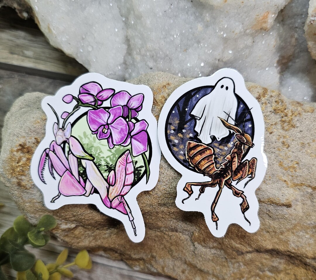 Orchid Mantis and Ghost Mantis Sticker Pair - 3 Inch Glossy Waterproof ...