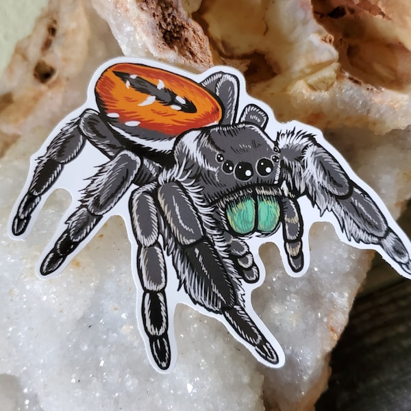 Spider Sticker - Etsy