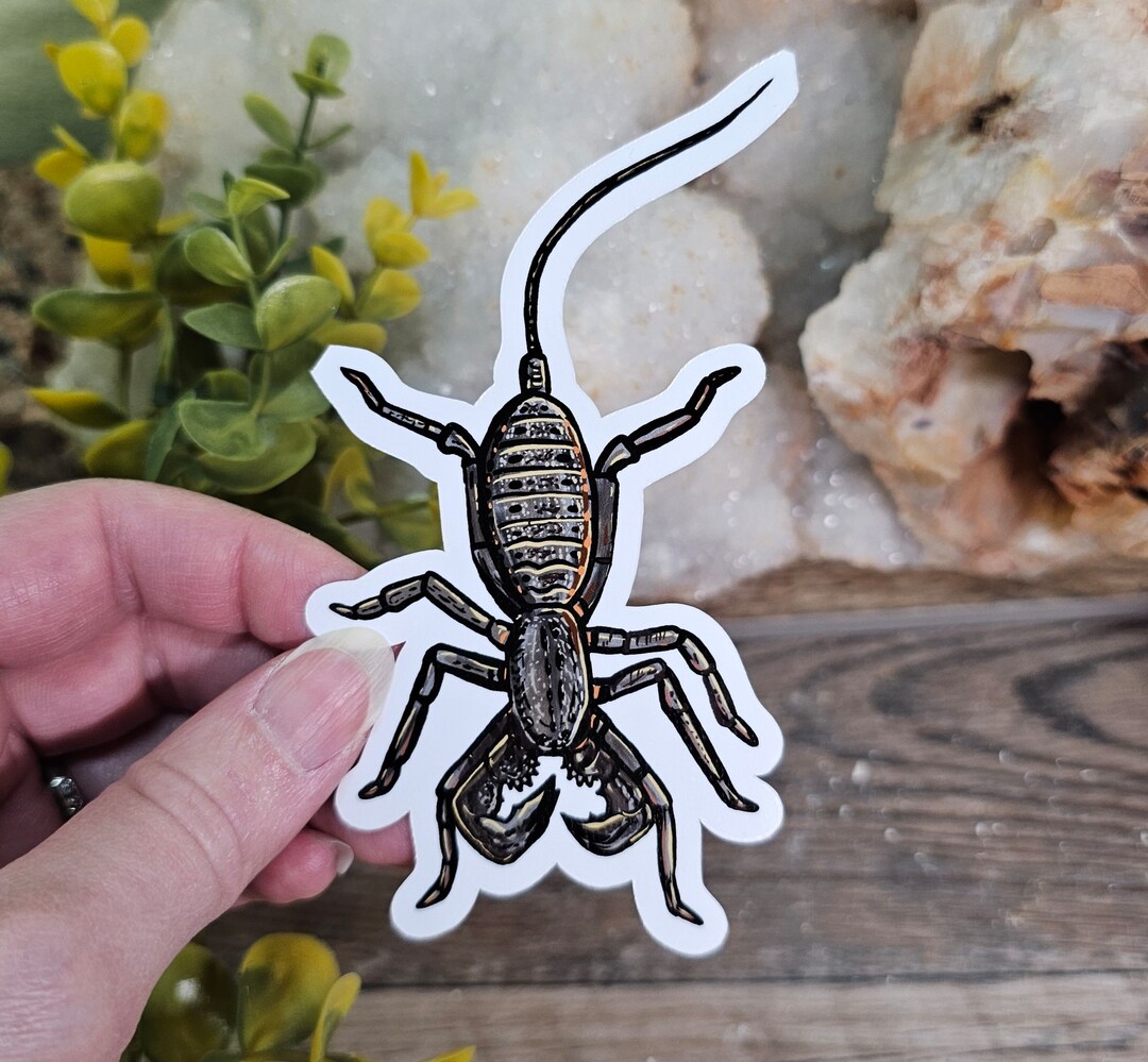 Vinegaroon Sticker - 4.5 Inch Glossy Sticker - Tarantula Insect Bug ...