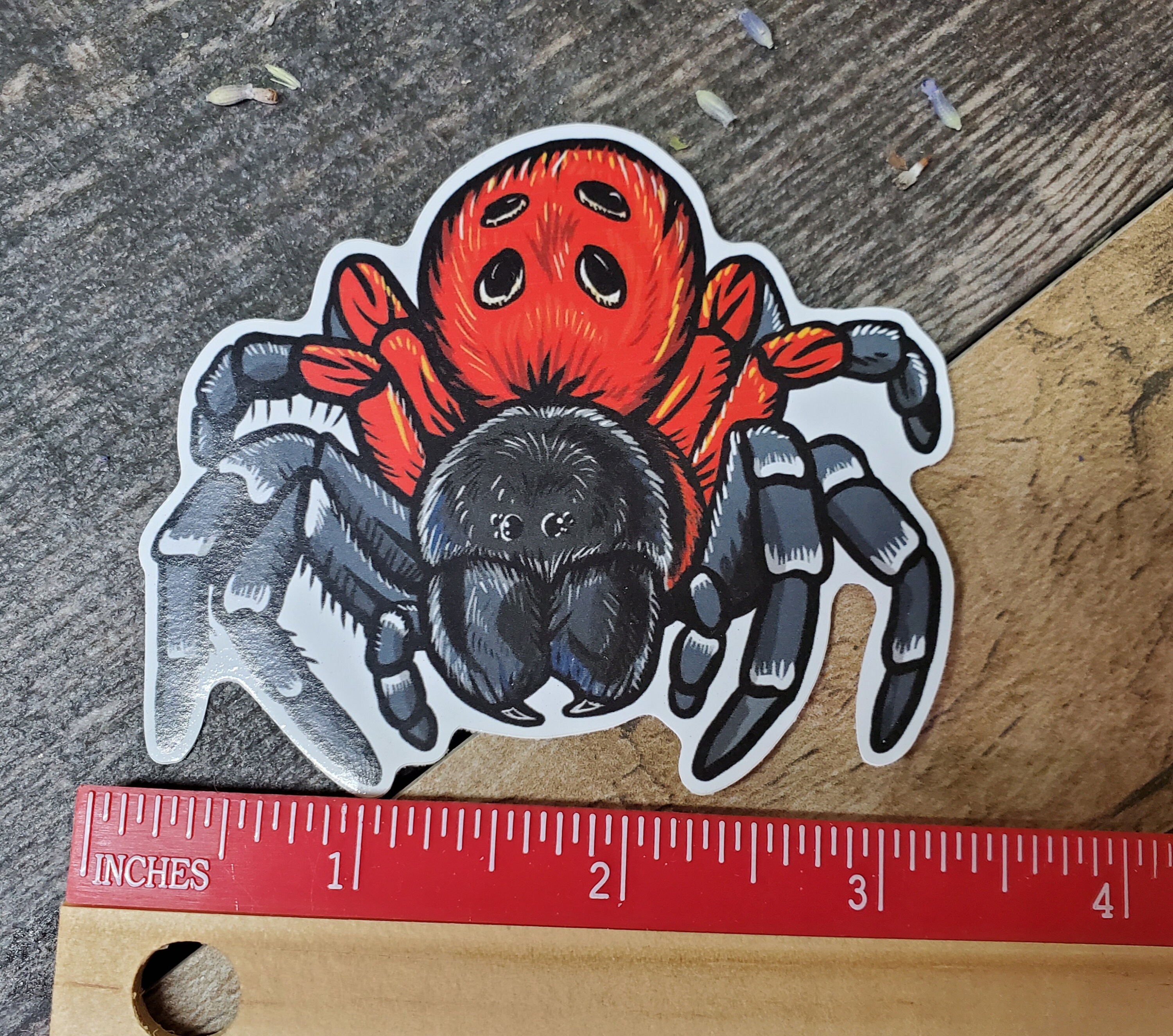 Velvet Spider Sticker 3.5 Inch Glossy Sticker Ladybird - Etsy