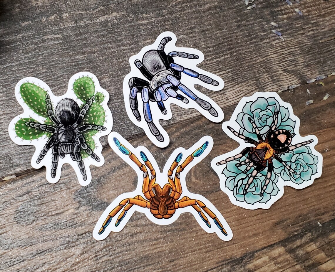 Tarantula Sticker Pack 4 Glossy Waterproof 2.75 Inch - Etsy