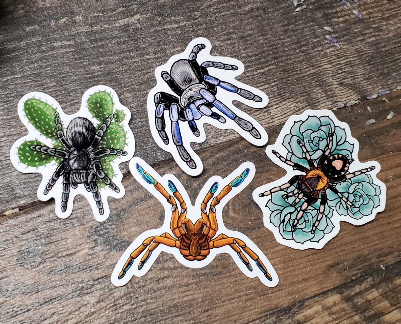 Tarantula Sticker Pack 4 Glossy Waterproof 2.75 Inch - Etsy