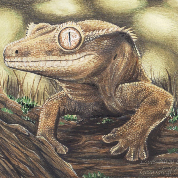 Gecko Art - Etsy