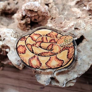 Acrylic Pin - Copperhead Snake - Made With Recycled Materials - Reptile ...