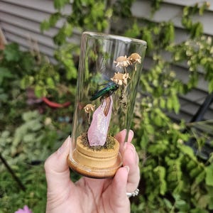 Real Jewel Beetle Curiosity Jar - Real Pink Quartz Crystals Real Dried ...