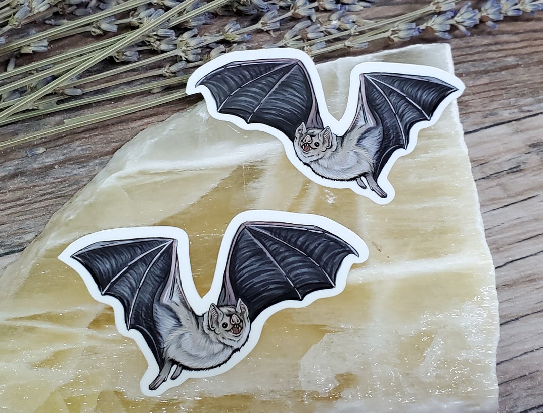 Vampire Bat Pair of Stickers 2.75 Inch Glossy Stickers Bat Bats Bird ...