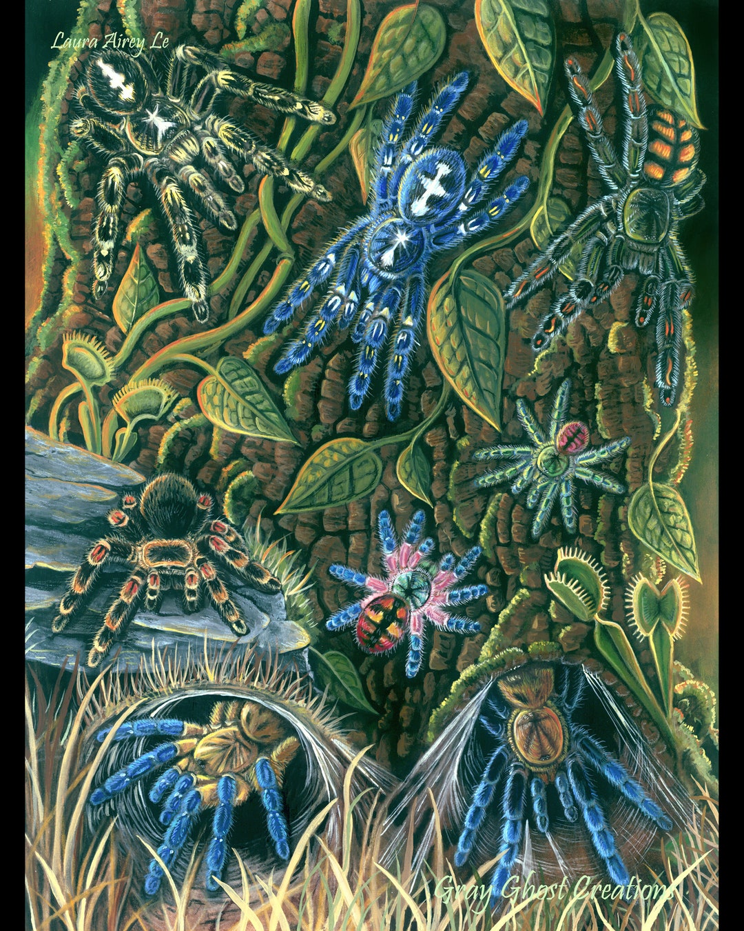 Tarantulas of the World - Fine Art 8x10 Print - by Laura Airey Le ...
