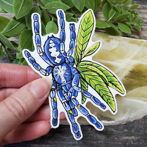 Gooty - Etsy