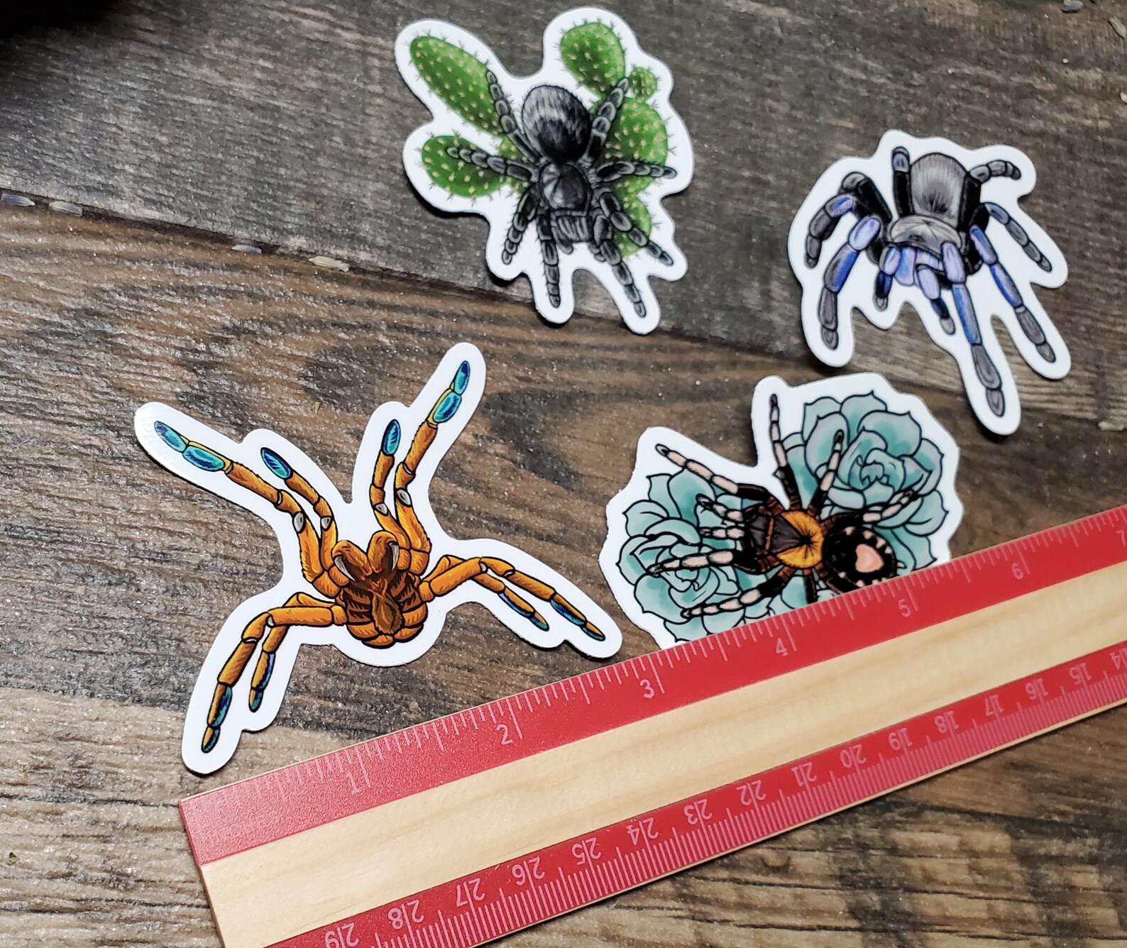Tarantula Sticker Pack 4 Glossy Waterproof 2.75 Inch - Etsy