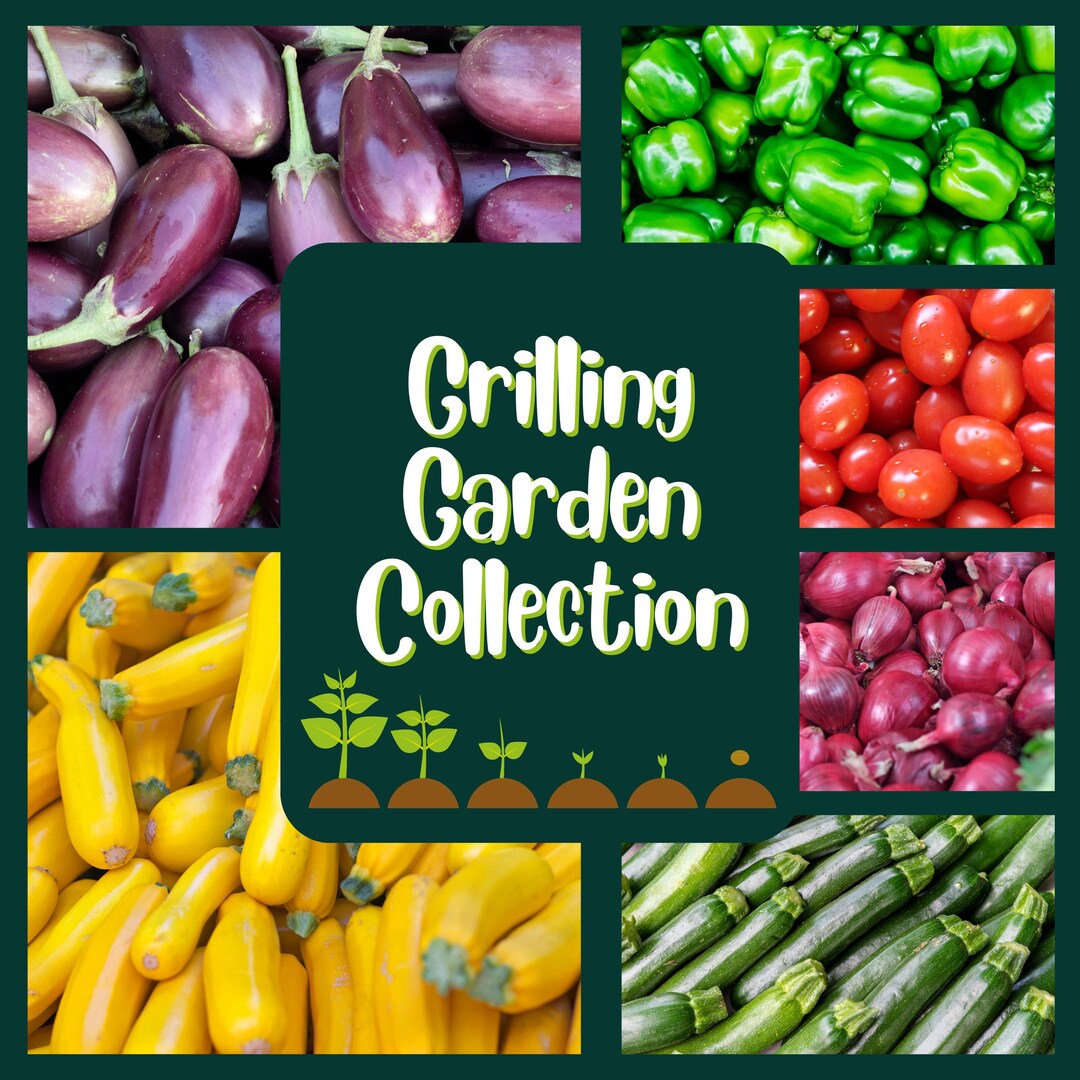 Garden to Grill Seed Collection - Etsy