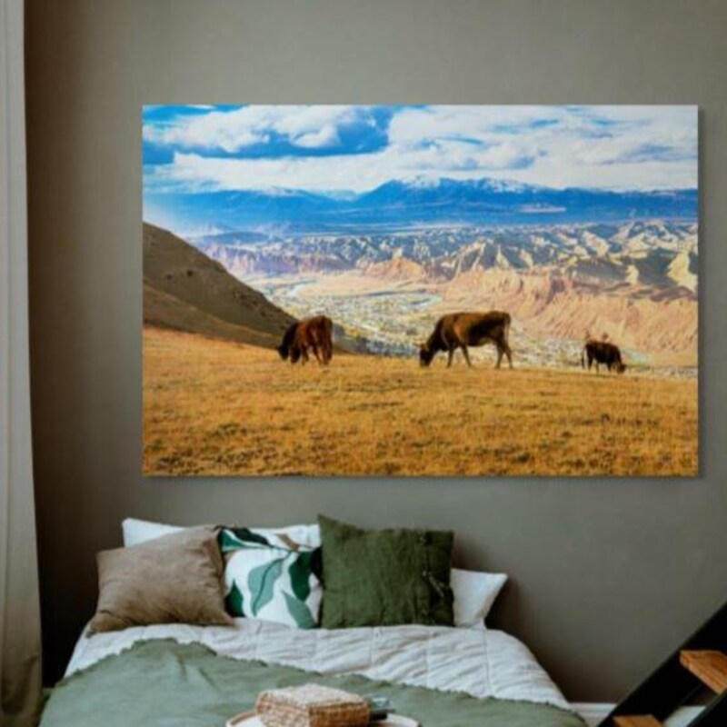 Pasture Scenes - Etsy