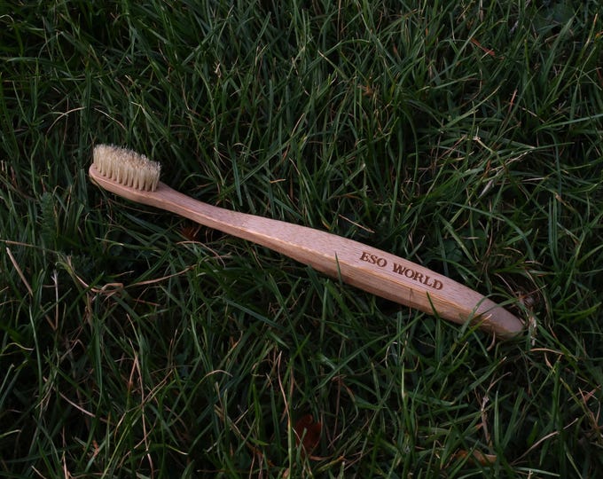 Antique French Extra Fine Toothbrush Bovine Bone Handle & Boar Hair ...