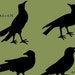 Crow Flock 3 Stencil the Artful Stencil 10 Mil Mylar - Etsy