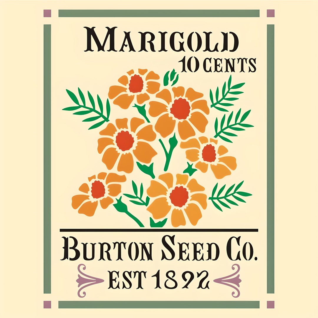 Antique Marigold Seed Packet Stencil - (10.4" X 13.5" Image) Unique ...