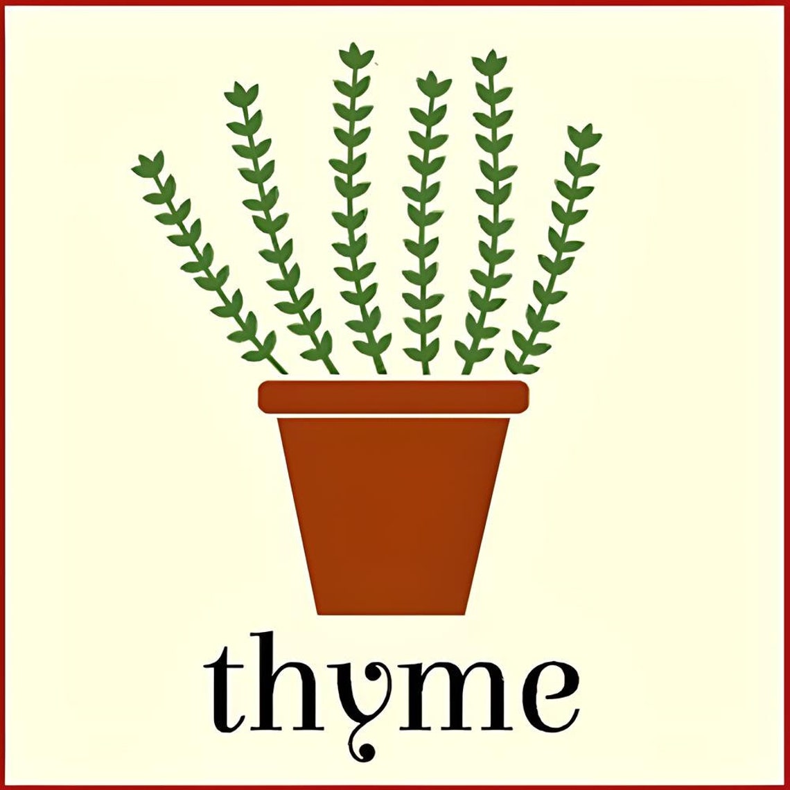 Thyme Herb Stencil - 5.6