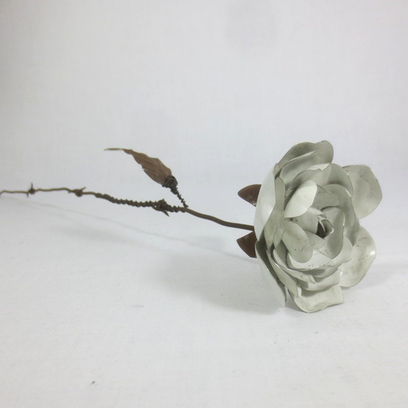 A Single Rustic White Immortal Wild Rose With Barbed Wire Stem - Etsy