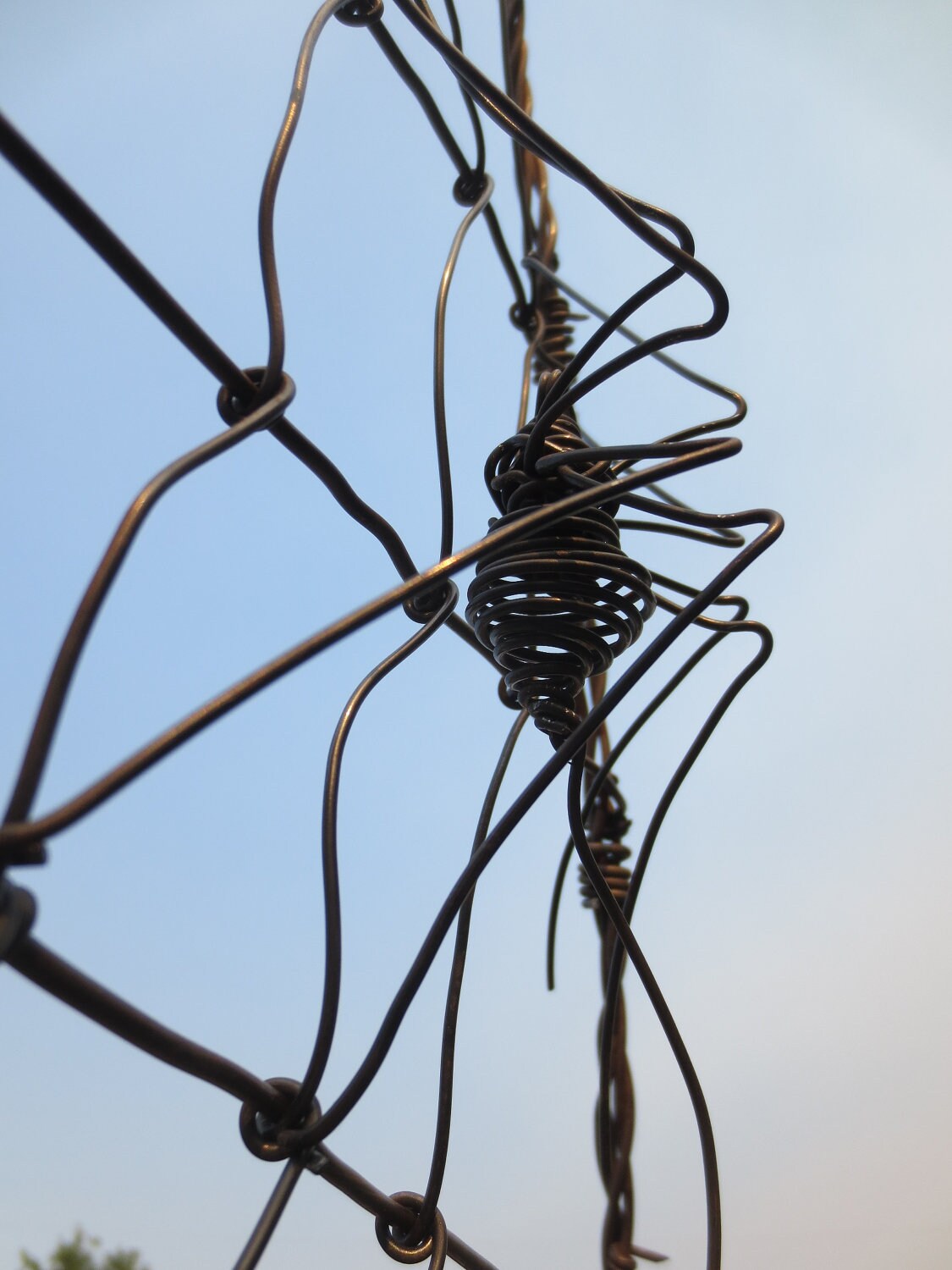 Spider Spinning A Web Barbed Wire Garden Trellis Made to Order - Etsy ...