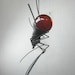 Blood Red Sun Catcher Window Spider Hanging Art Made to Order, Free ...