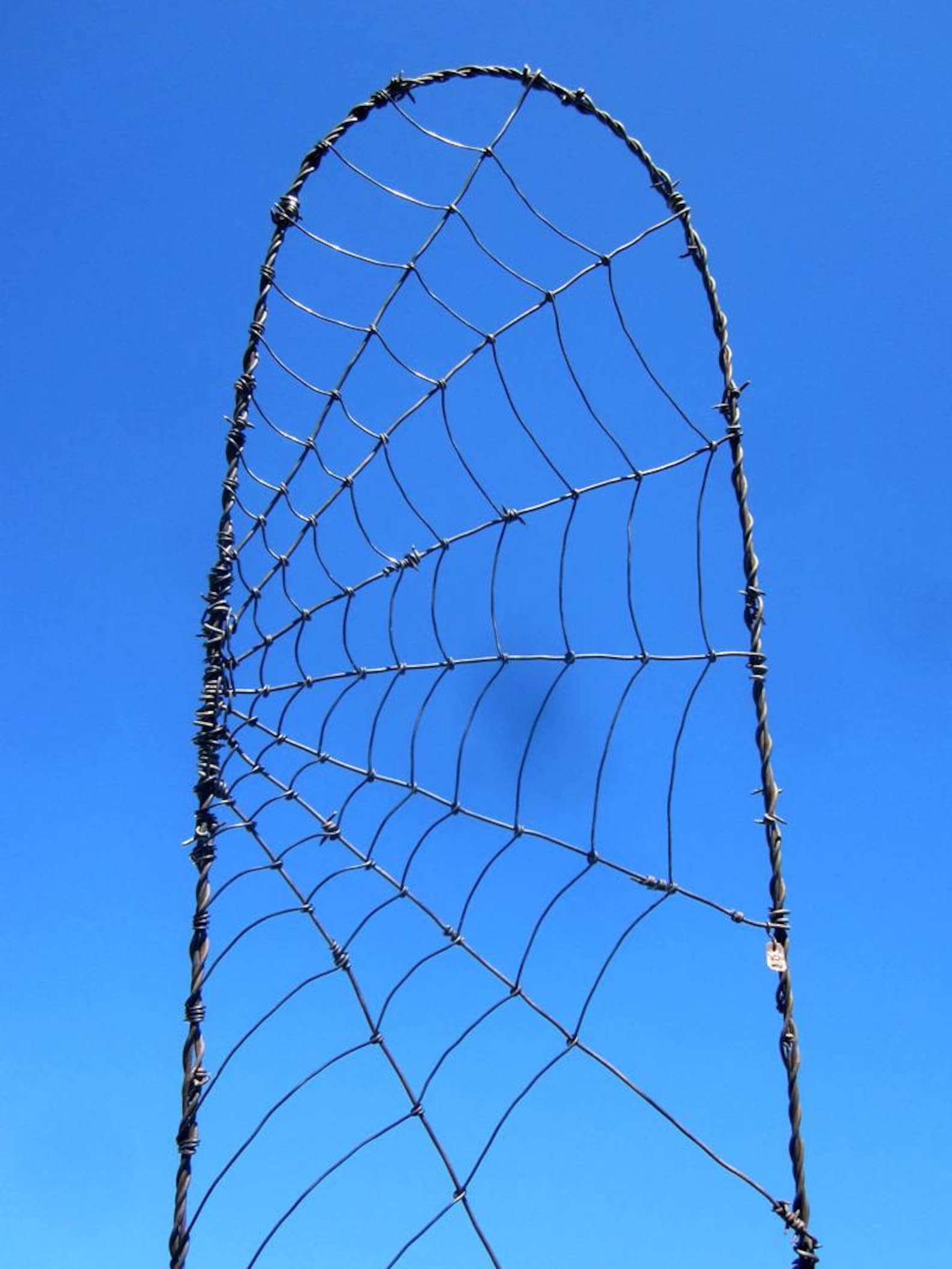 Beautiful Barbed Wire Spider Web Garden Trellis - Etsy