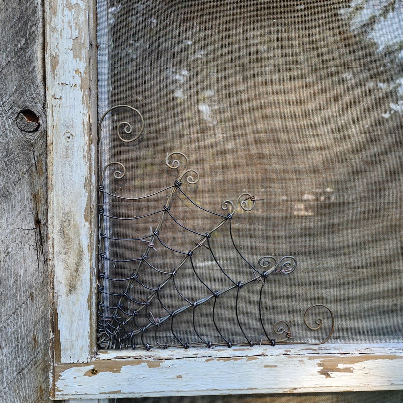Spider Web Decor - Etsy