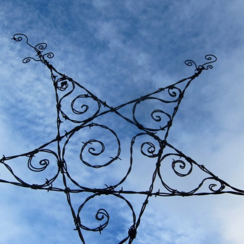 Barbed Wire Trellis - Etsy
