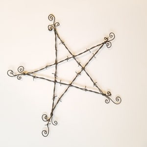 Small and Simple Barbed Wire Star Garden Decoration, Free Shipping in ...
