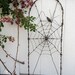 Spinning Spider in A Web Barbed Wire Garden Trellis - Etsy