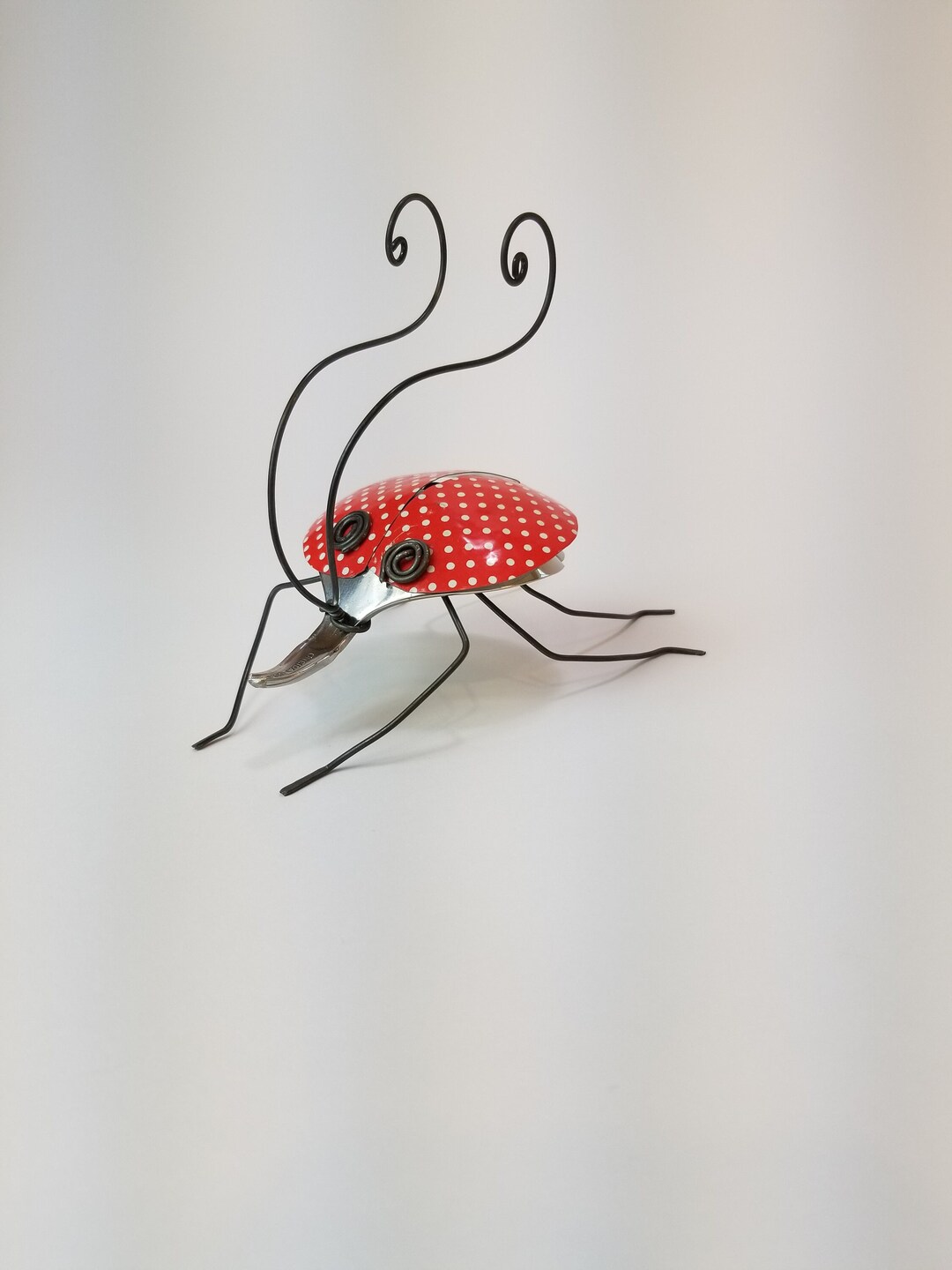 Red Spotted Spoon Beetle, Free Shipping in US - Etsy