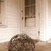 Montana Barbed Wire Tumbleweed Made to Order - Etsy