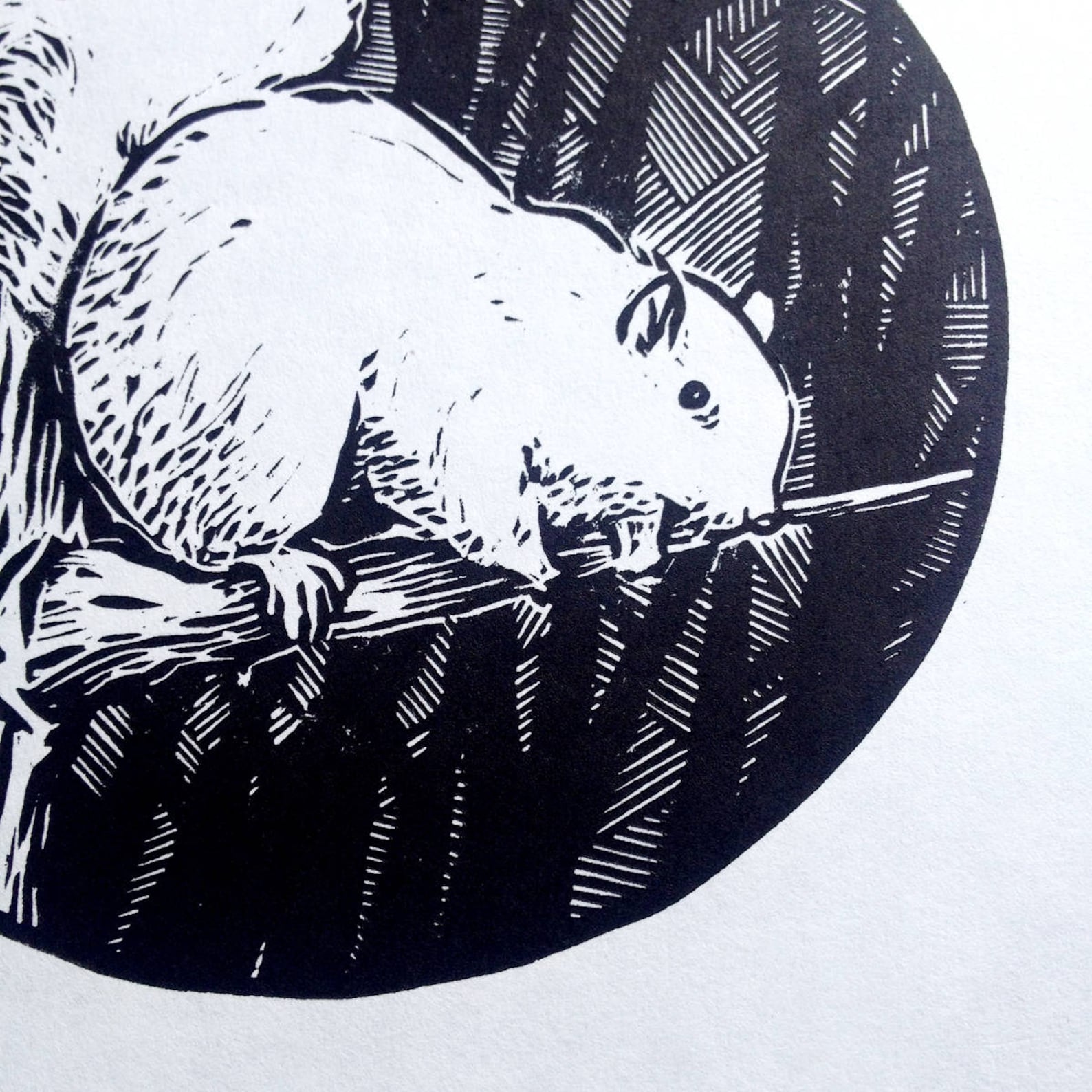 Squirrel Linocut Print - Etsy