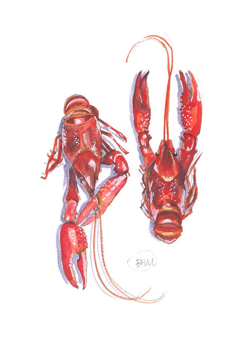 Crawfish Print - Etsy