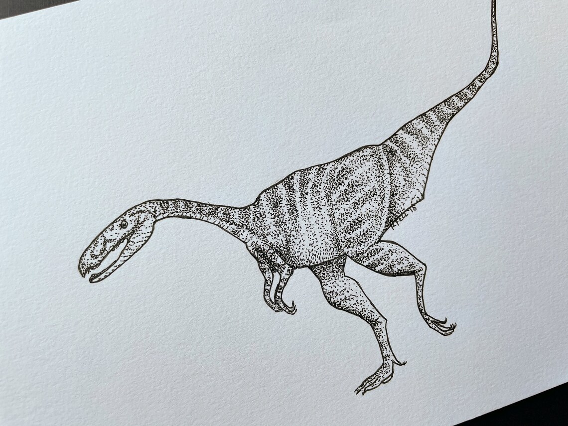 Shuvosaurus Dinosaur in Pen and Ink | Etsy