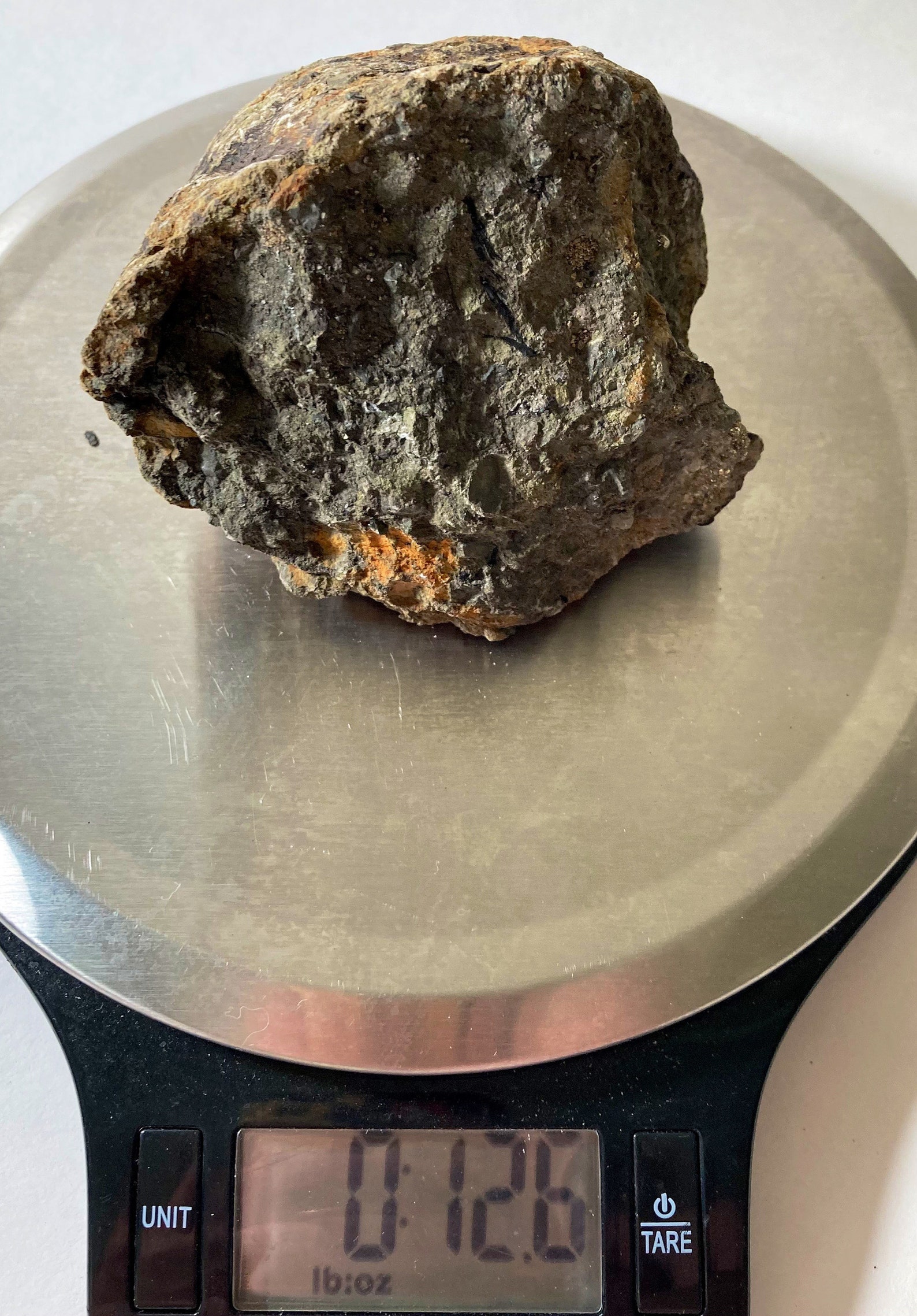 Petrified Wood With Pyrite - Etsy