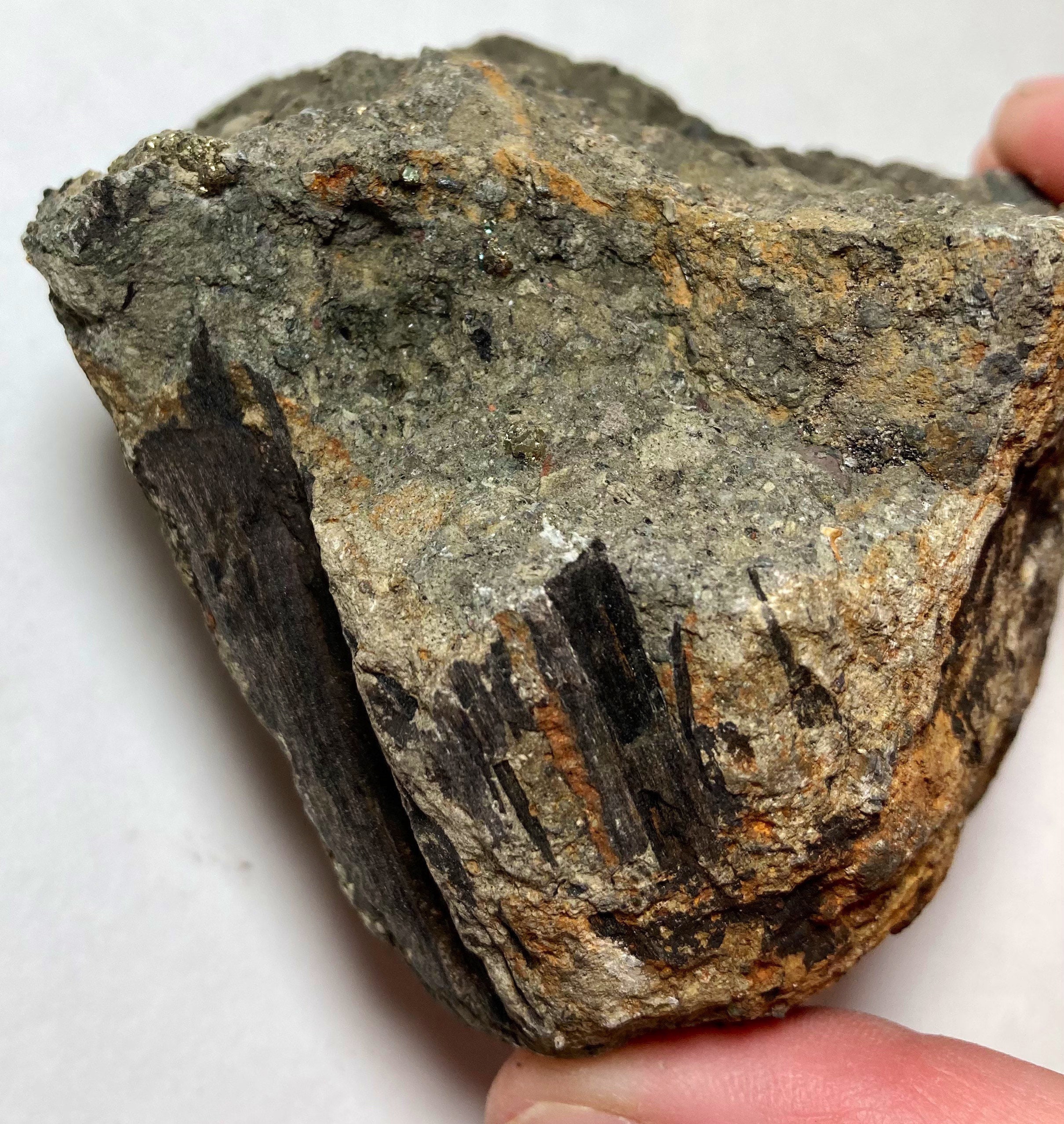 Petrified Wood With Pyrite - Etsy