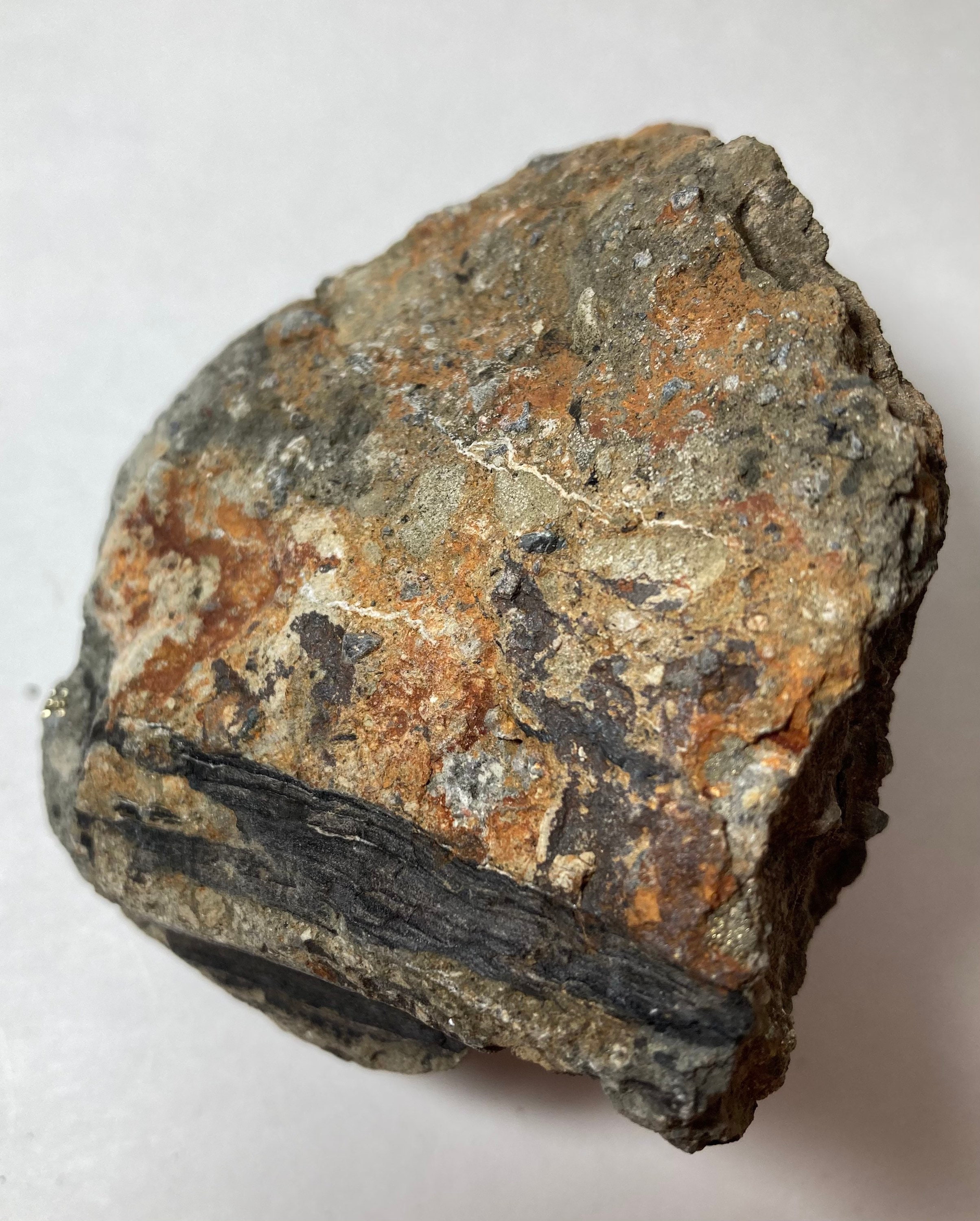 Petrified Wood With Pyrite - Etsy