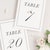 Haley Wedding Invitations Sample Script Invite, Calligraphy ...