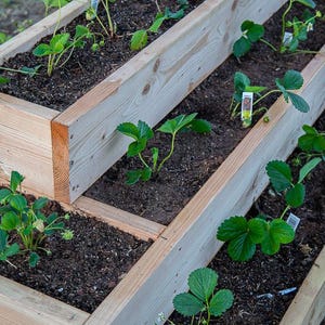 Easy Strawberry Planter Building Plans - Etsy
