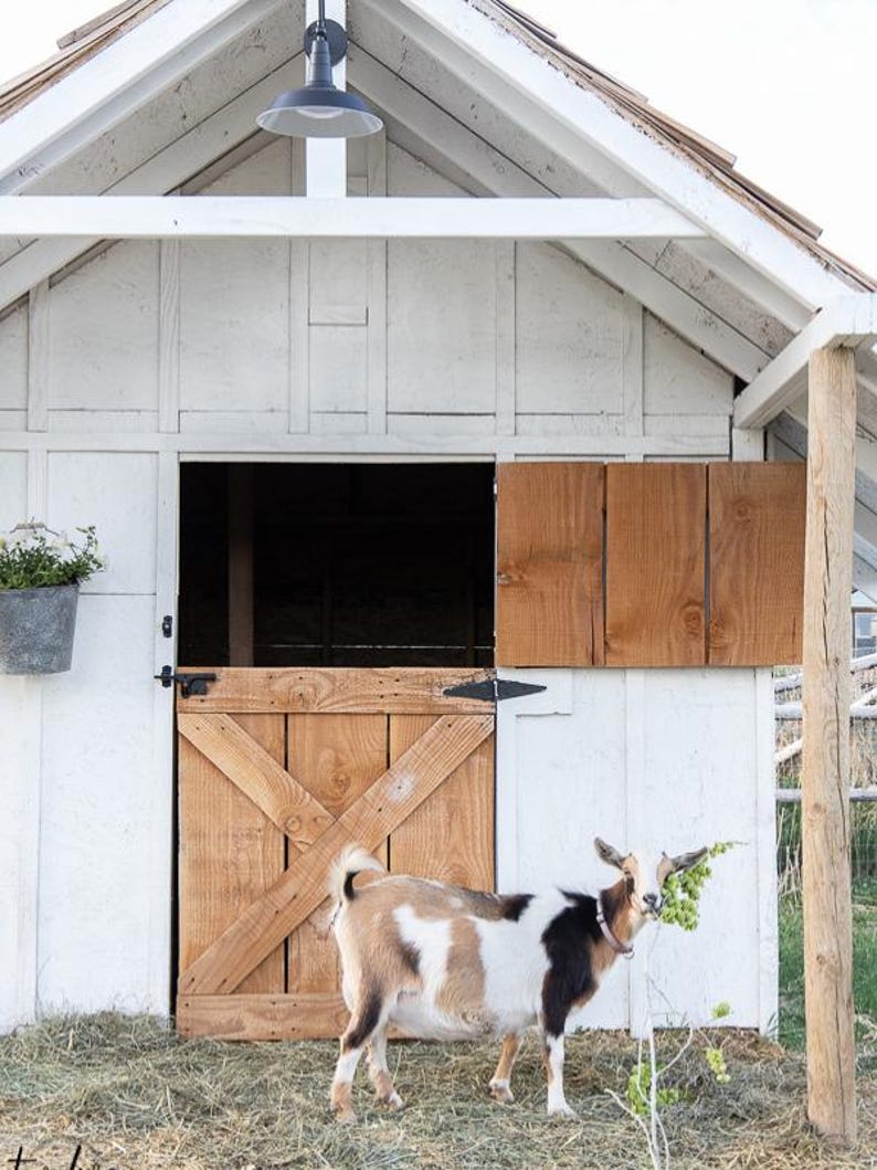 Stylish Goat House / Animal Shed Building Plans - Etsy