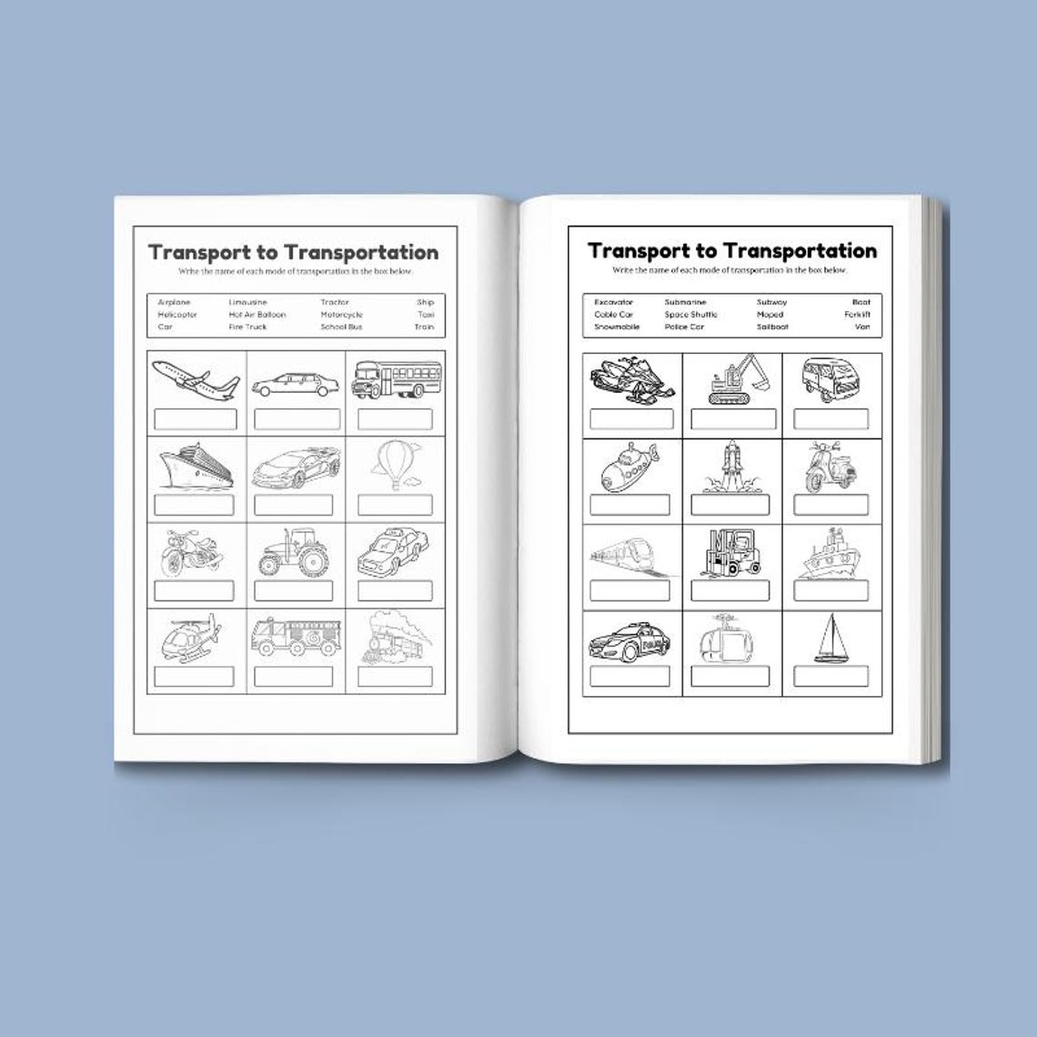 Transport to Transportation: Learn, Trace and Color Modes of ...