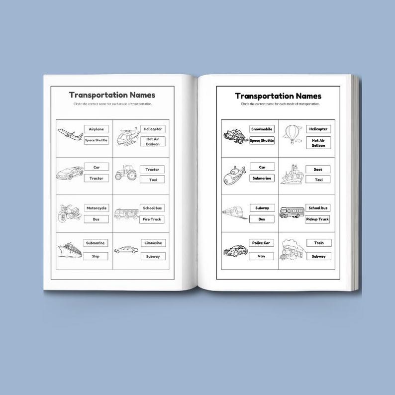 Transport to Transportation: Learn, Trace and Color Modes of ...