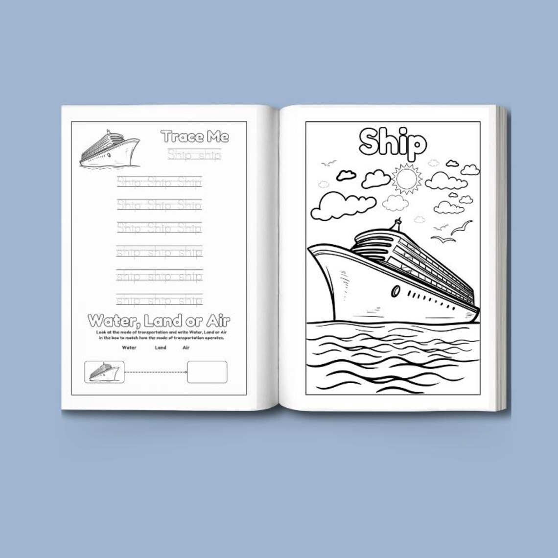 Transport to Transportation: Learn, Trace and Color Modes of ...