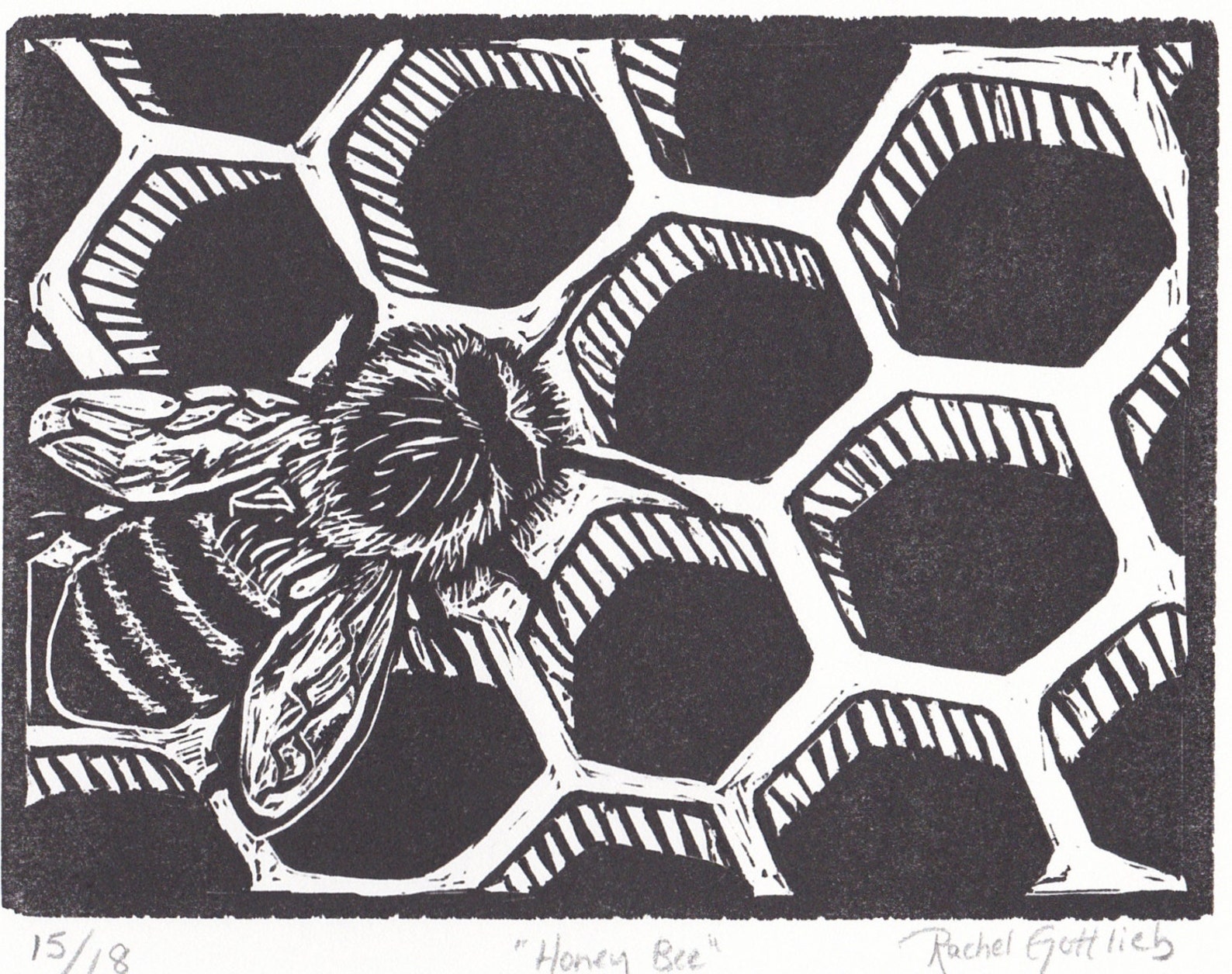 Honey Bee Linocut Art Print to Benefit the Honeybee - Etsy