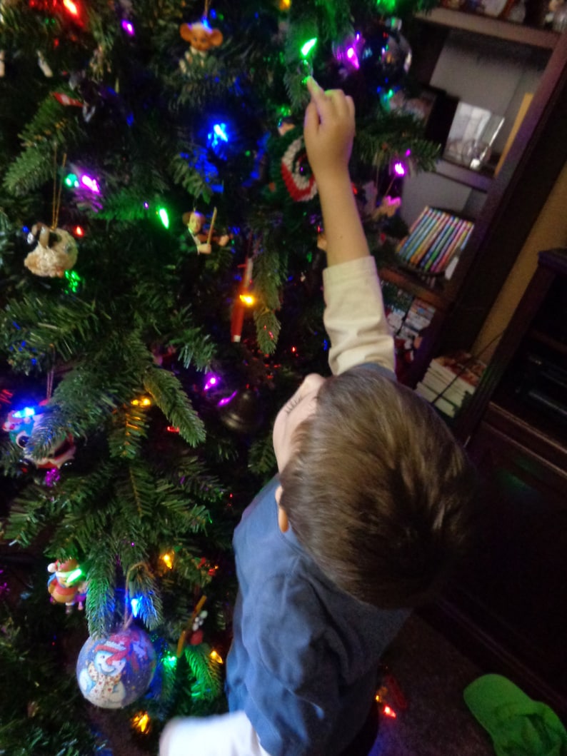 Turtle Christmas Ornament Tortoise Christmas Tree Ornament - Etsy